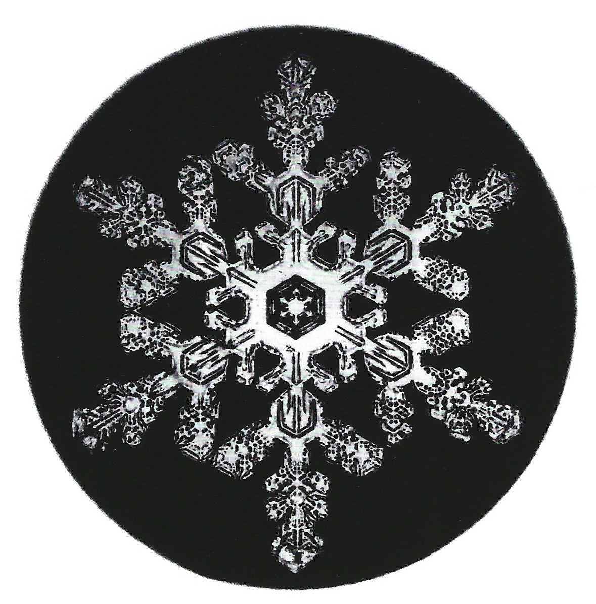 2025 Snowflake "Bentley" Ornament – Vermont Snowflakes