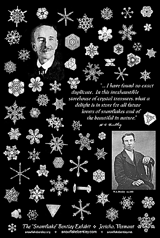 "Snowflake" Bentley Poster – Vermont Snowflakes